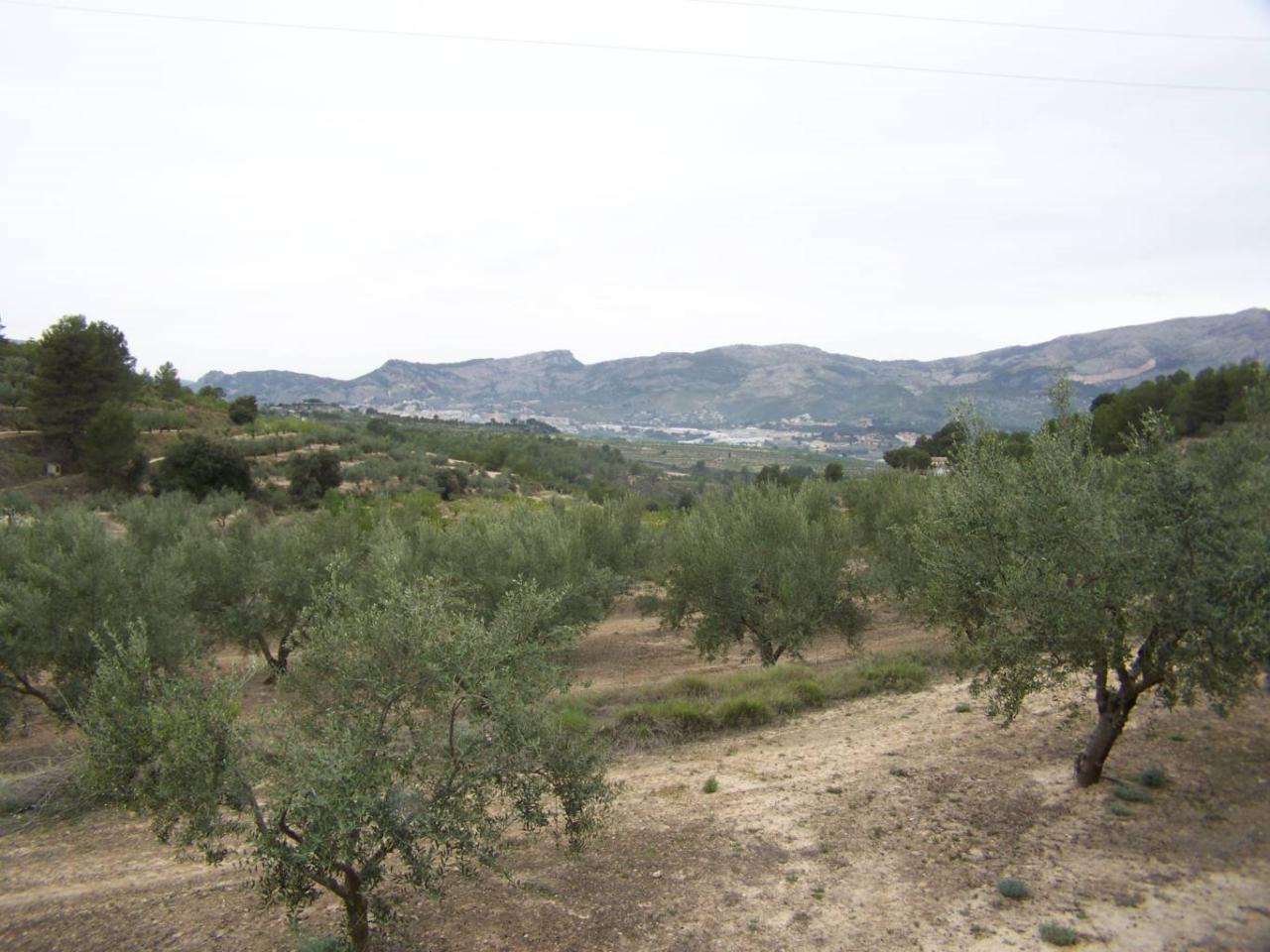 INMOBILIARIA EQUUS - Terreno en venta en PARTIDA TOSALS por 100.000 ...